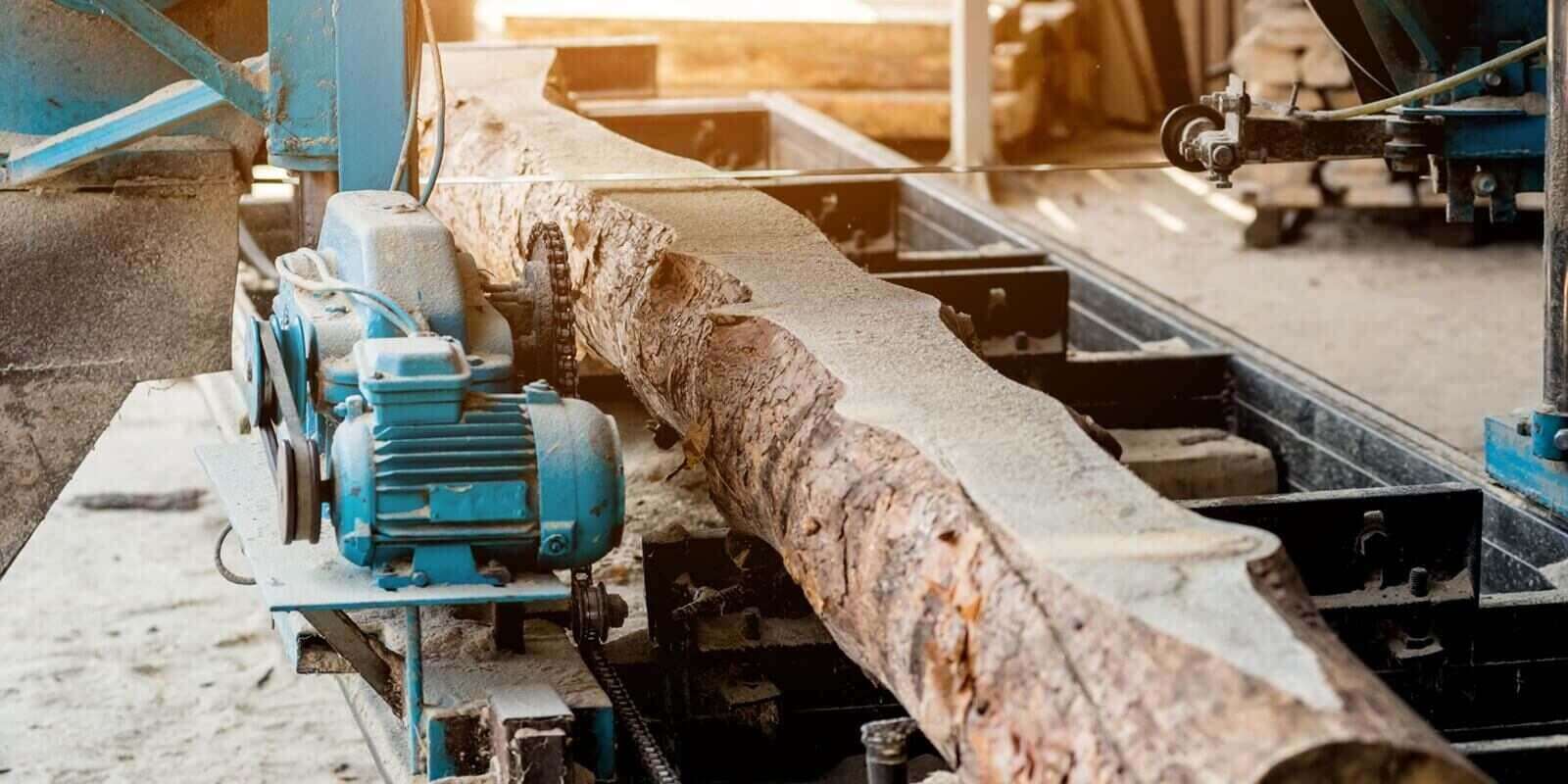 Common Risks in the Sawmill Industry and How Insurance Helps | Burton ...